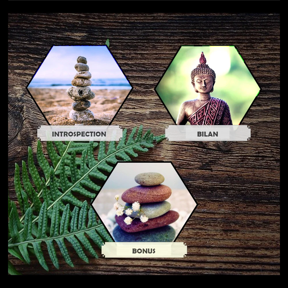 GUIDE INTROSPECTION : Pleine Conscience | Centelya